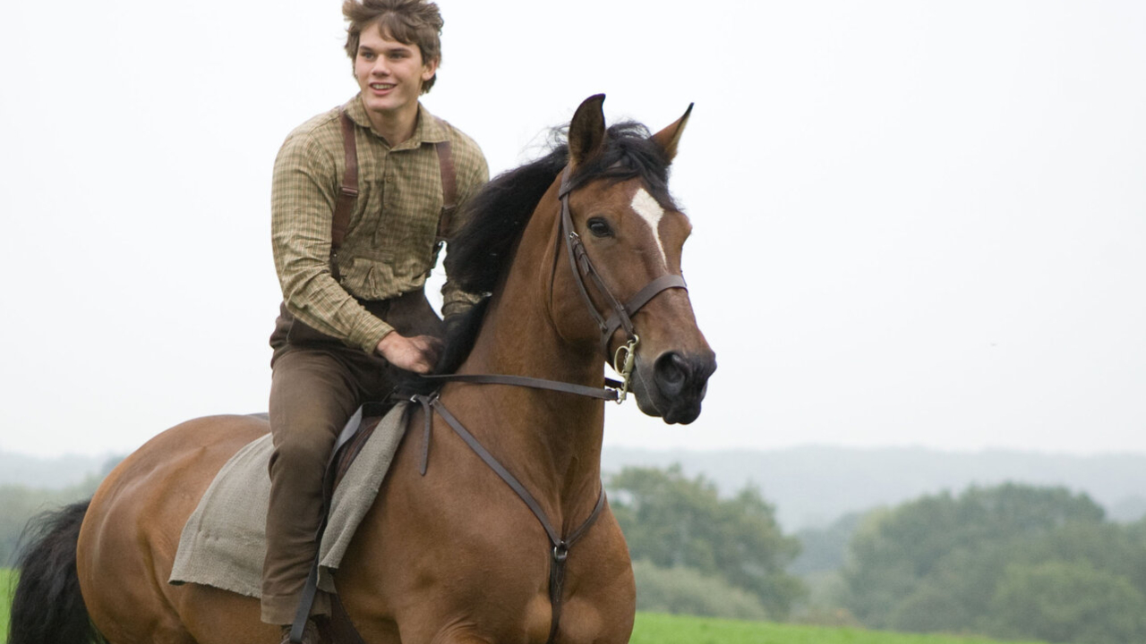 Cavalo de Guerra: O filme é baseado em uma história real? - Aventuras ...