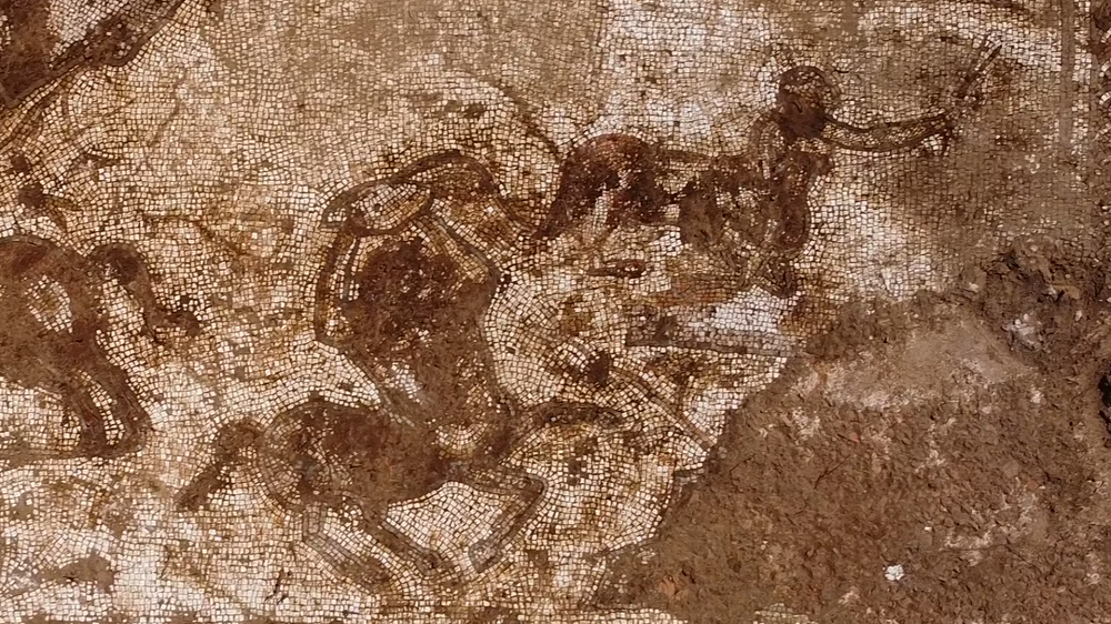 Documentário mostra descoberta de mosaico romano com luta de centauros ...