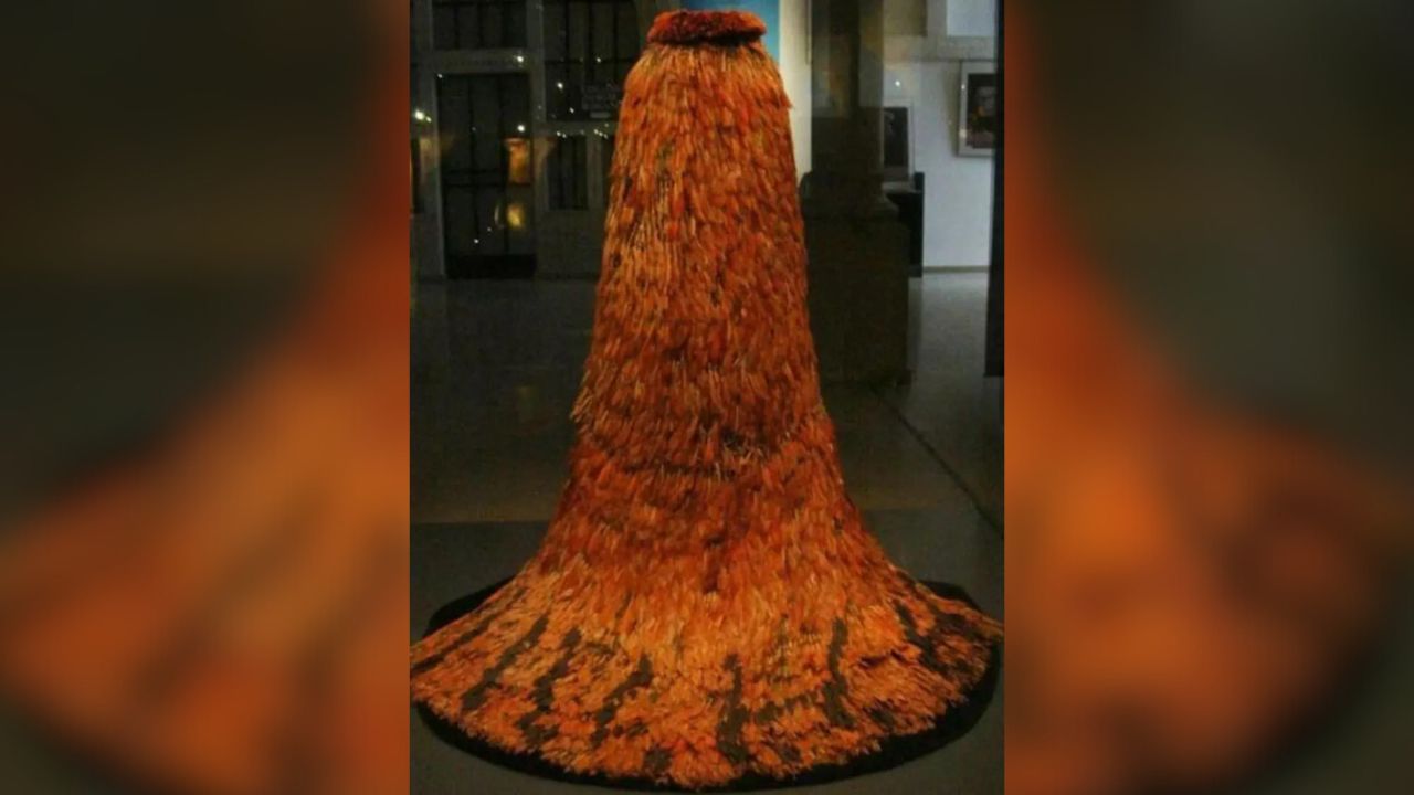 Confira a história do manto tupinambá do século 16 devolvido ao Brasil ...