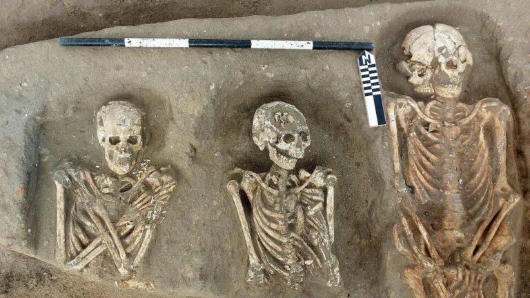 Cemitério greco-romano e sepultamentos de javalis são encontrados no ...