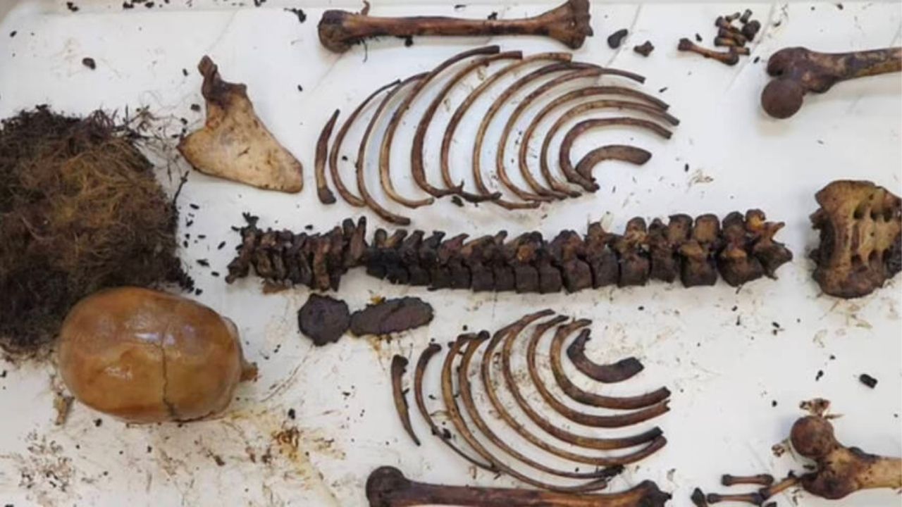 A história da vítima de um serial killer que foi identificada 37 anos ...