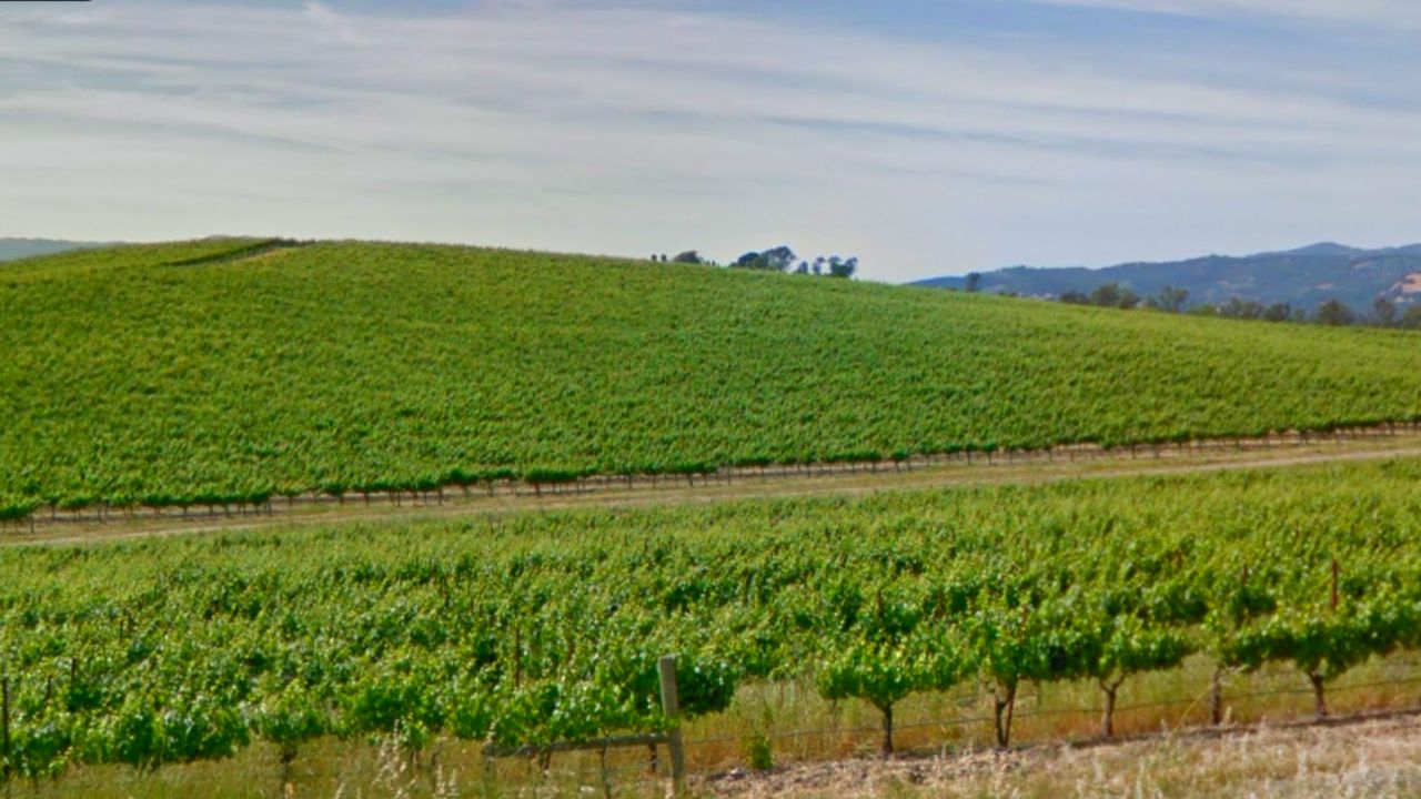 Plano De Fundo Do Windows Xp Agora Wallpaper : Windows 10, Windows XP,